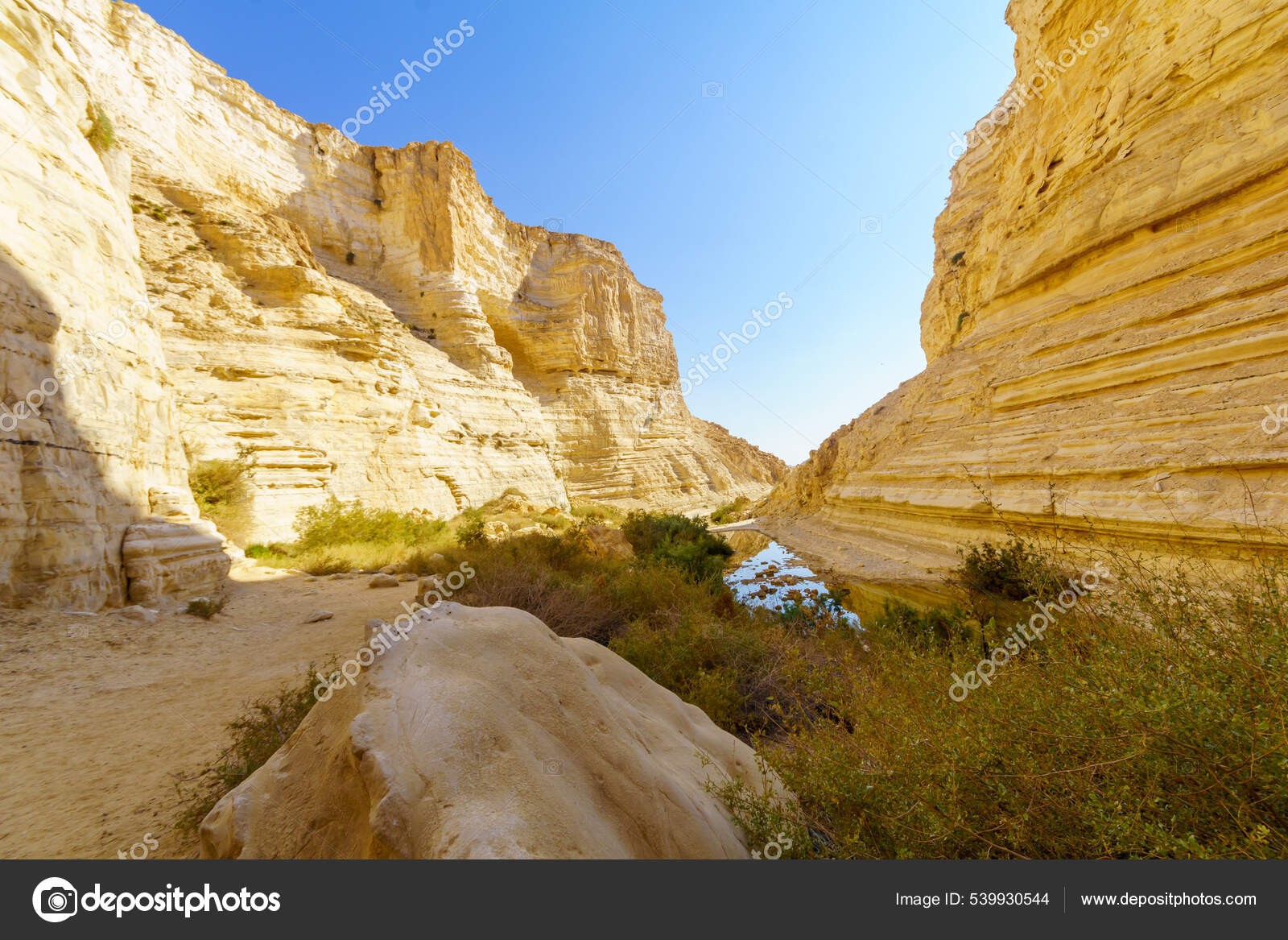 View Canyon Ein Avdat National Park Oasis Negev Desert Southern — Stock ...