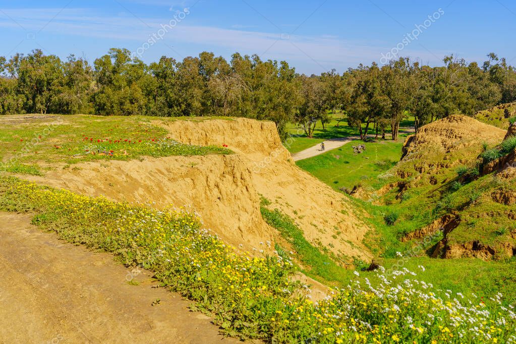 Vista de las flores silvestres, el valle de Gerar, y el paisaje del ...