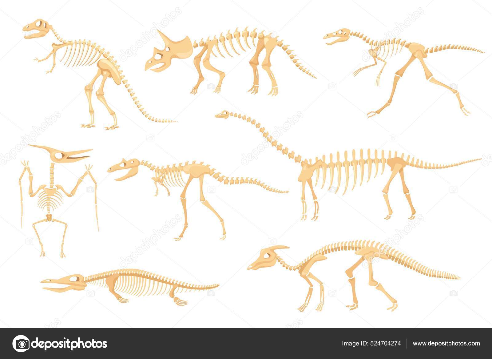 Cartoon dinosaur skeletons, dinosaurs prehistoric bone fossils ...