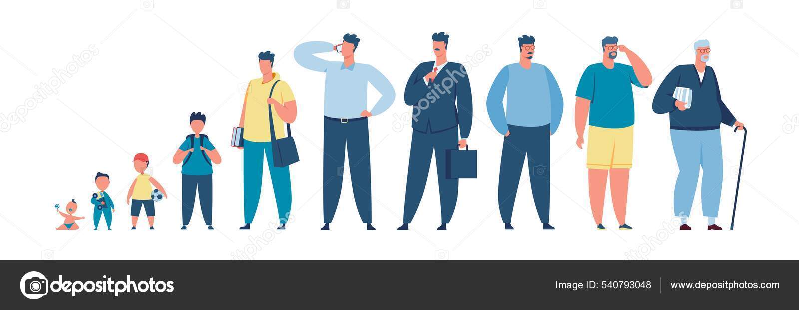 Infant To Adulthood Cycle