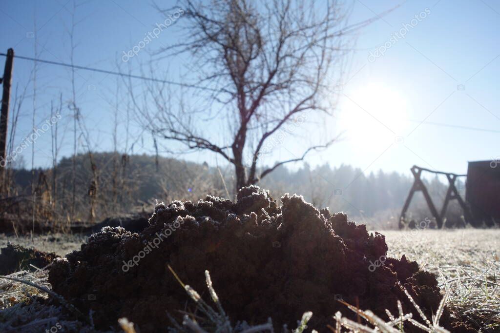 humus en un campo en la agricultura, la tierra utilizable y la ...