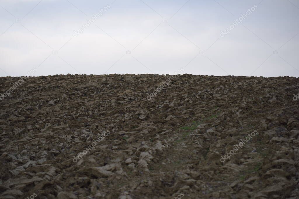 humus en un campo en la agricultura, la tierra utilizable y la ...