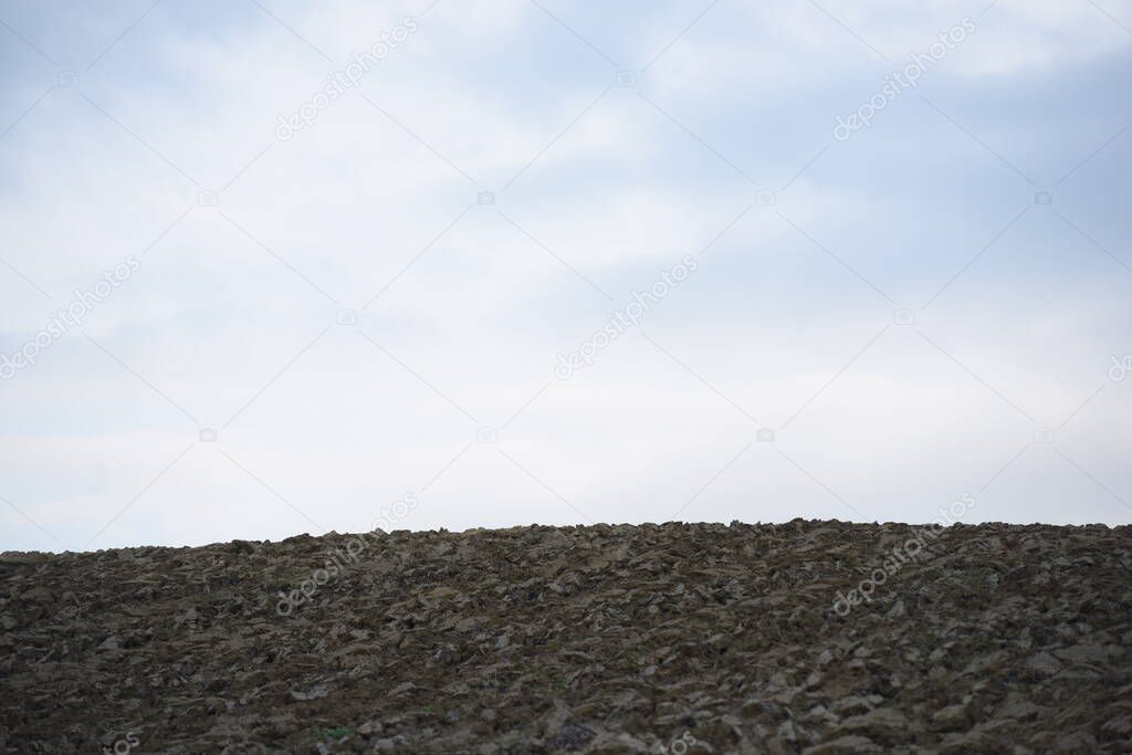humus en un campo en la agricultura, la tierra utilizable y la ...