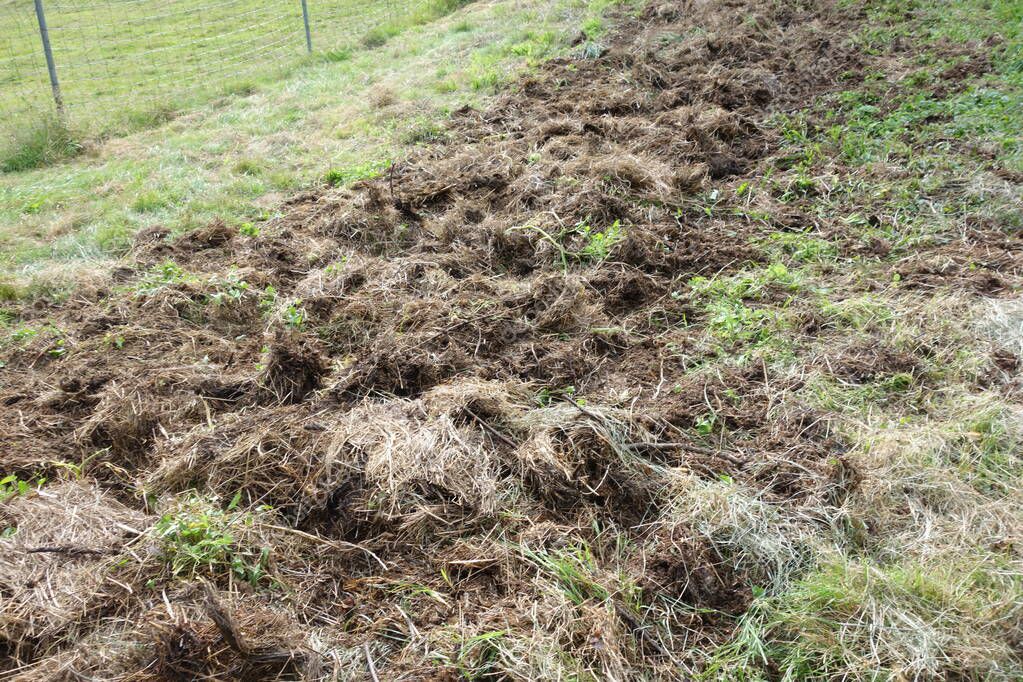 humus en un campo en la agricultura, la tierra utilizable y la ...