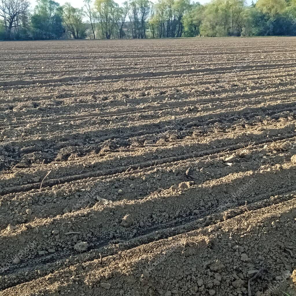 humus en un campo en la agricultura, la tierra utilizable y la ...