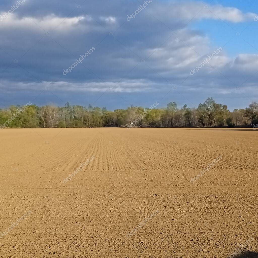 humus en un campo en la agricultura, la tierra utilizable y la ...