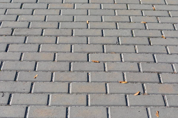 Permeable pavement Stock Photos, Royalty Free Permeable pavement Images ...