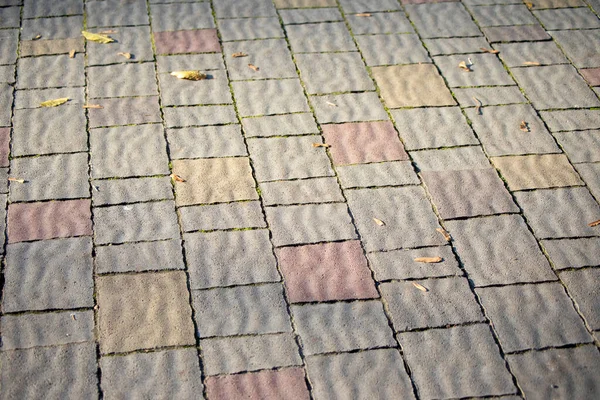 Herringbone pavement Stock Photos, Royalty Free Herringbone pavement ...