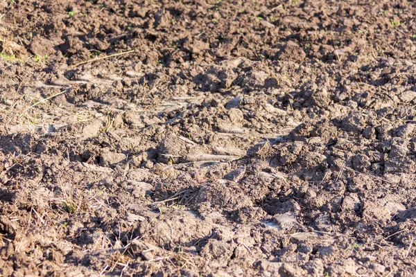 Ground rupture Stock Photos, Royalty Free Ground rupture Images ...