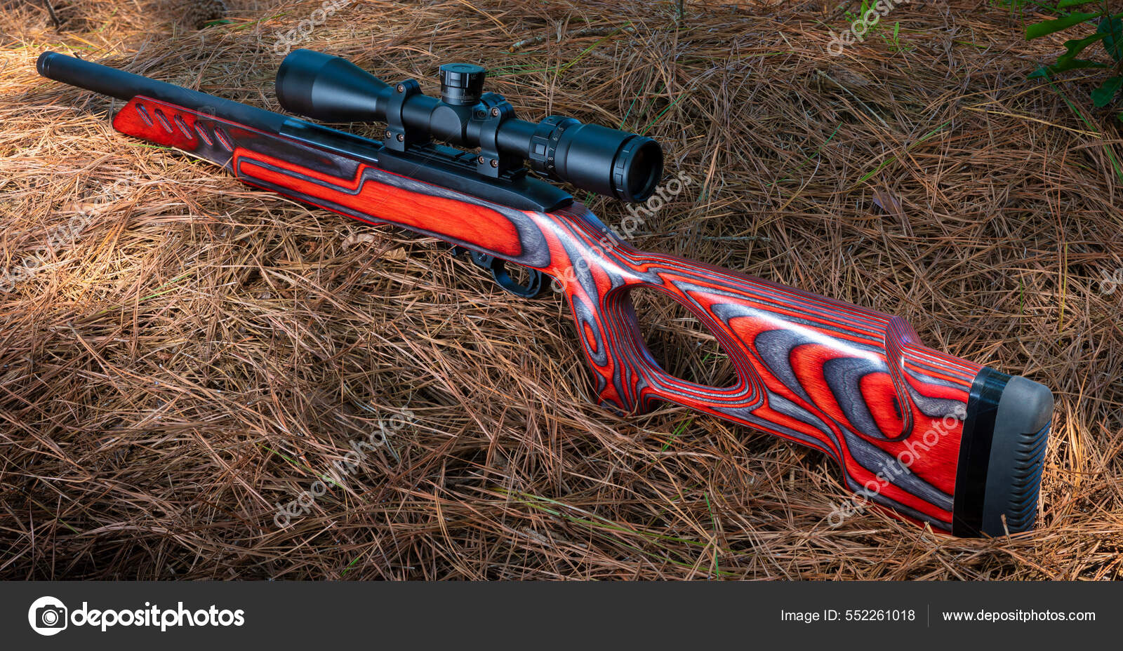 Semi Auto Rimfire Rifle Forest Floor Rifle Scope Mounted Stock Photo by ...