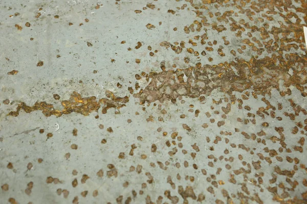 Dangerous harmful fungus mold Stock Photos, Royalty Free Dangerous ...