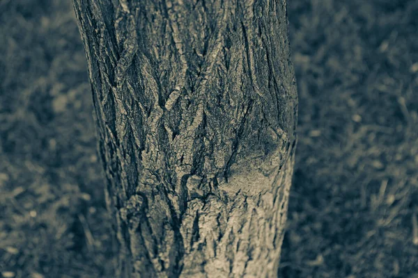 Limb Stock Photos, Royalty Free Limb Images | Depositphotos