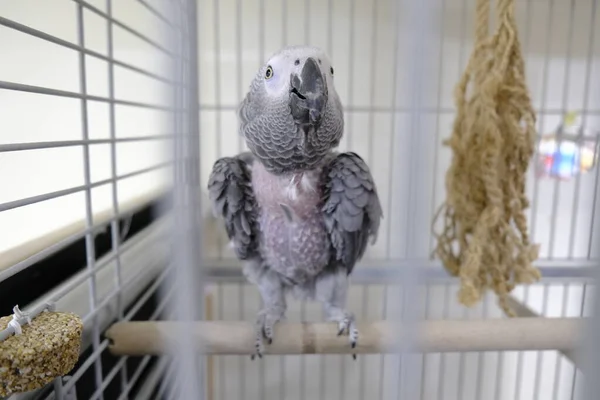 Prison juvenile Stock Photos, Royalty Free Prison juvenile Images ...