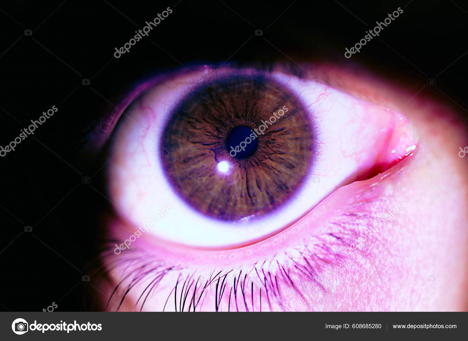 Beautiful Macro Closeup Shot Human's Deep Eyes — Stock Photo ...