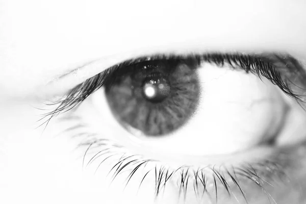 Narrowed eyes Stock Photos, Royalty Free Narrowed eyes Images ...