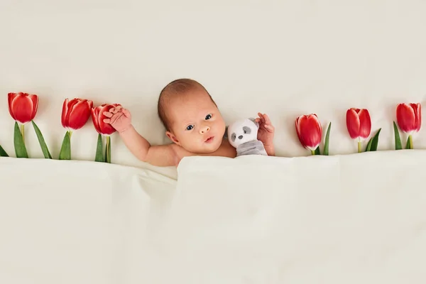 Newborn digital backdrop Stock Photos, Royalty Free Newborn digital ...