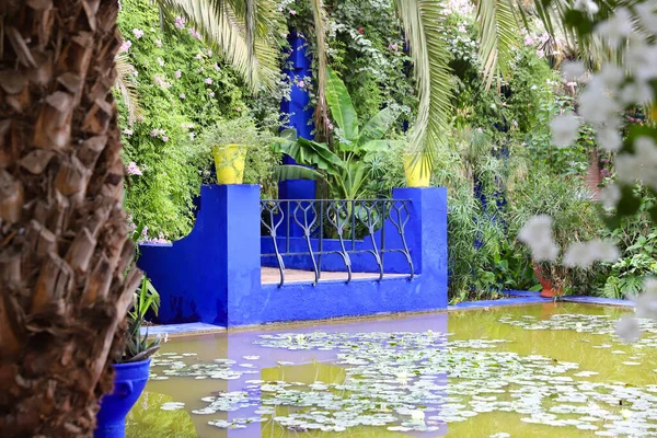 Majorelle garden marrakesh Stock Photos, Royalty Free Majorelle garden ...