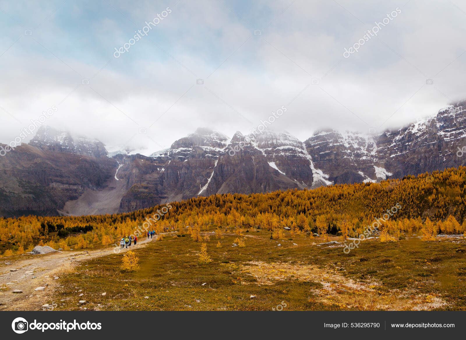 Hikers Enjoying Golden Larch Trees Larch Valley Lake Louise Valley ...