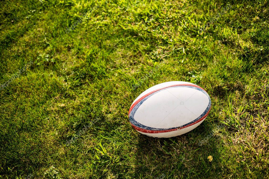 Balón de rugby, Gilbert, en el campo de deportes con hierba verde para ...