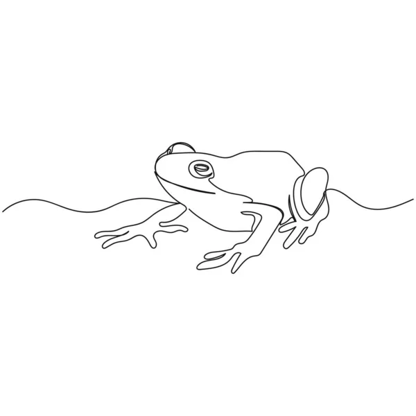 Line drawing frog Vector Art Stock Images | Depositphotos