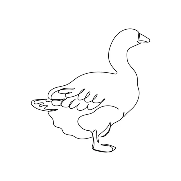 Liba rajz Stock vektorok, Liba rajz Jogdíjmentes illusztrációk ...