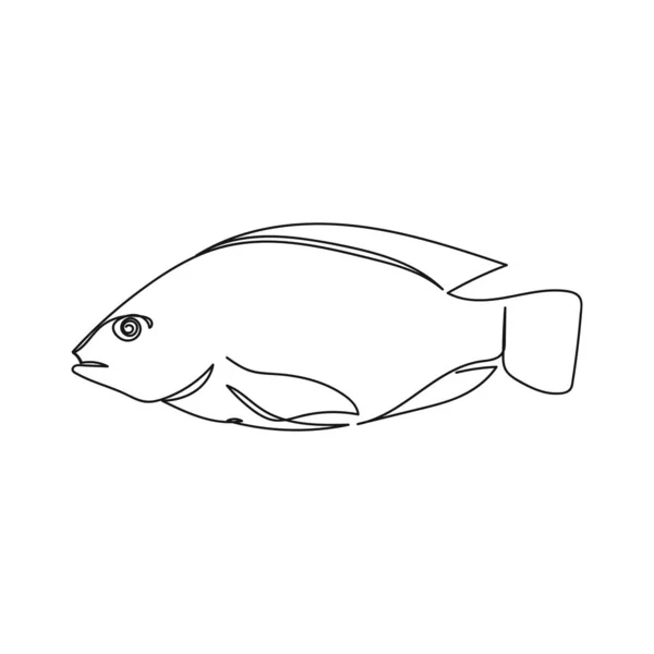 Kapr kresba Stock vektory, Royalty Free Kapr kresba Ilustrace ...