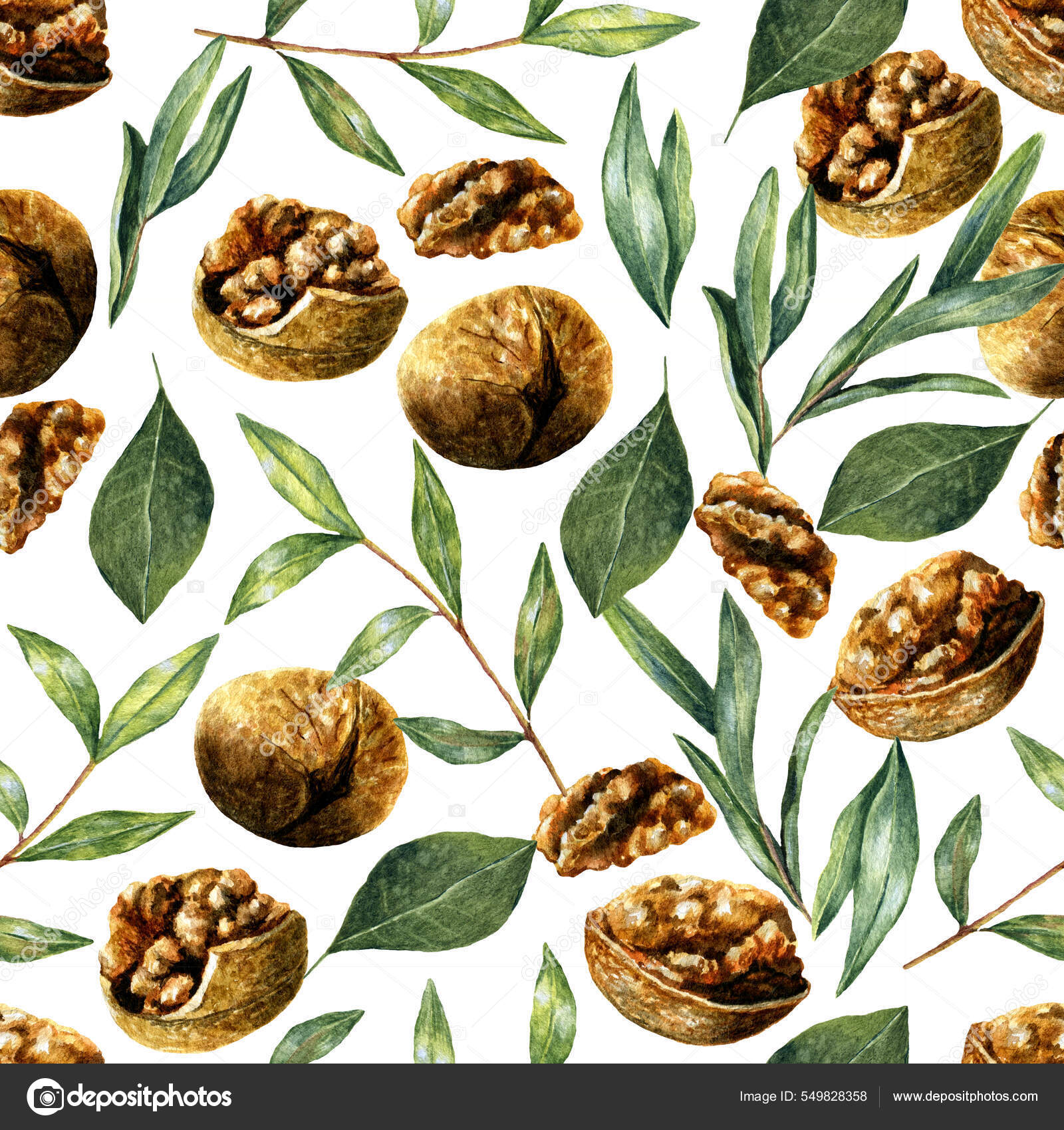 Watercolor Seamless Pattern Walnuts Greenery Tropic Design Natural ...
