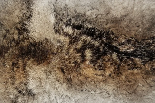 Animal fur. Use for texture or background. Stock Photo by ©Best3d 51285875