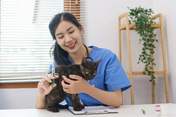 Japanese veterinary services Stock Photos, Royalty Free Japanese ...