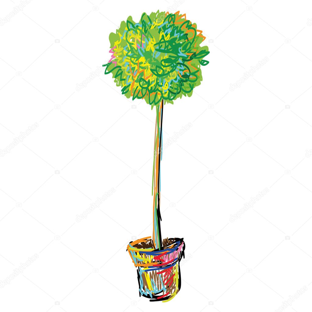 Decorative bay tree in pot with green foliage Stock Vector by ...