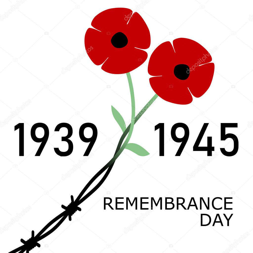 Día del Recuerdo y de la Reconciliación. Flor de amapola roja símbolo ...