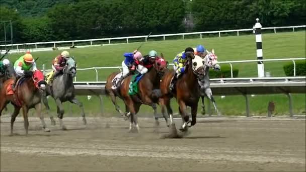 Horse Race Track Finish Line