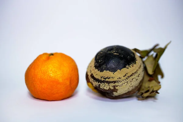Fresh Orange Table Reflected Mirror Rotten Spoiled Fruit Conceptual ...