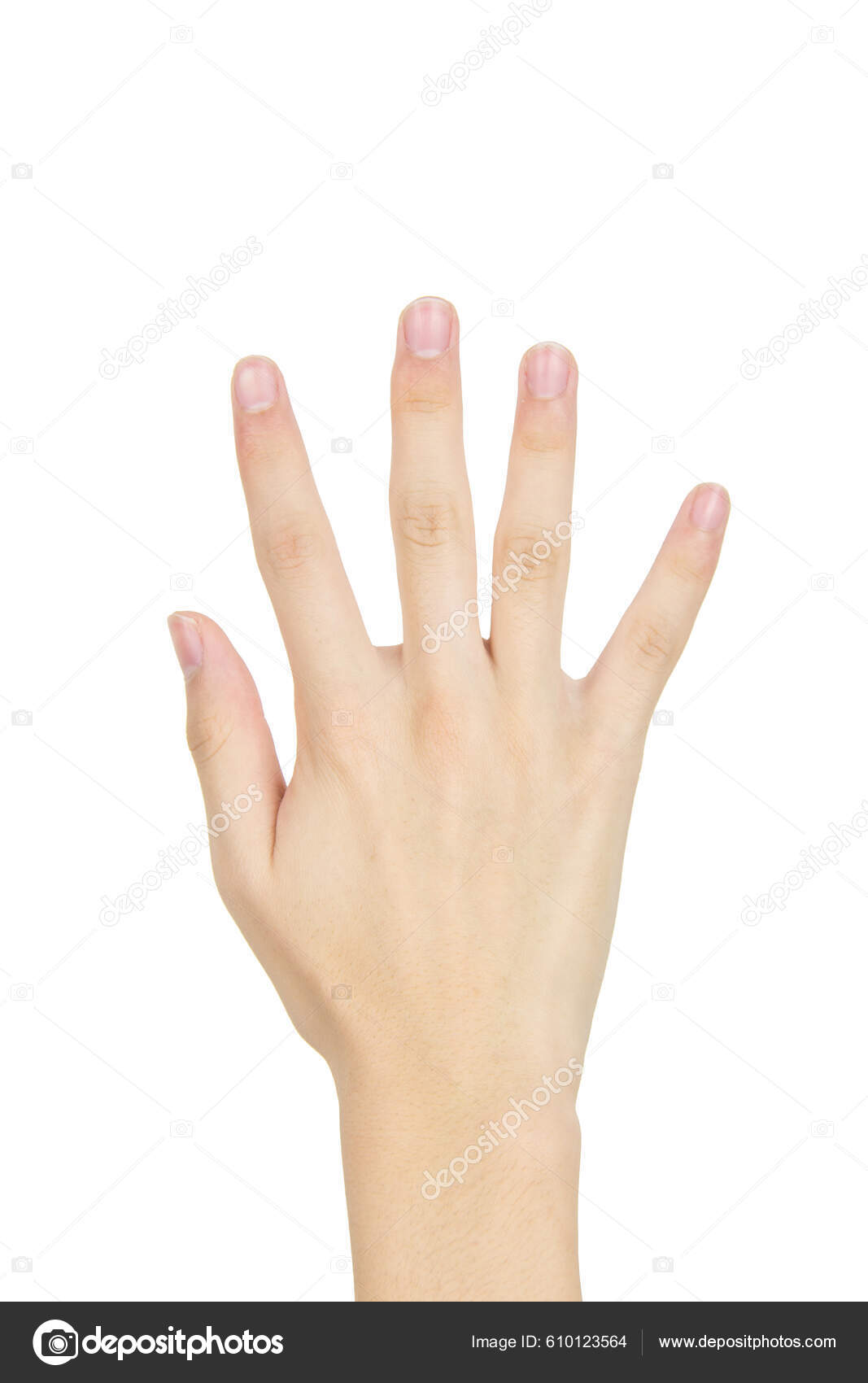 Hand Sign Isolated White Background — Stock Photo © daizuoxin #610123564