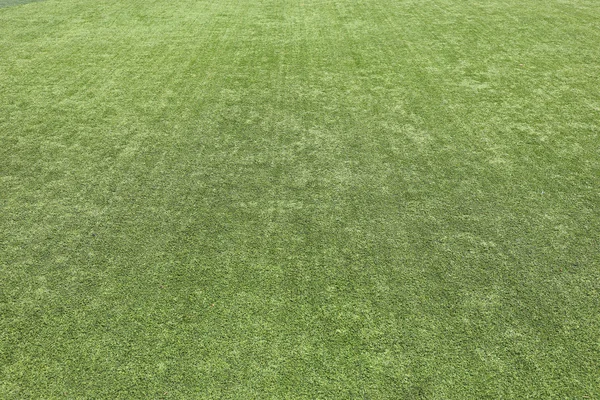 Cricket pitch Stock Photos, Royalty Free Cricket pitch Images ...