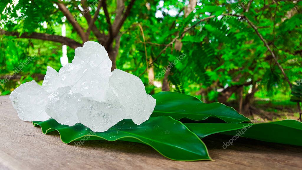 Cubos de alumbre claro blanco en el concepto de hojas verdes para la ...