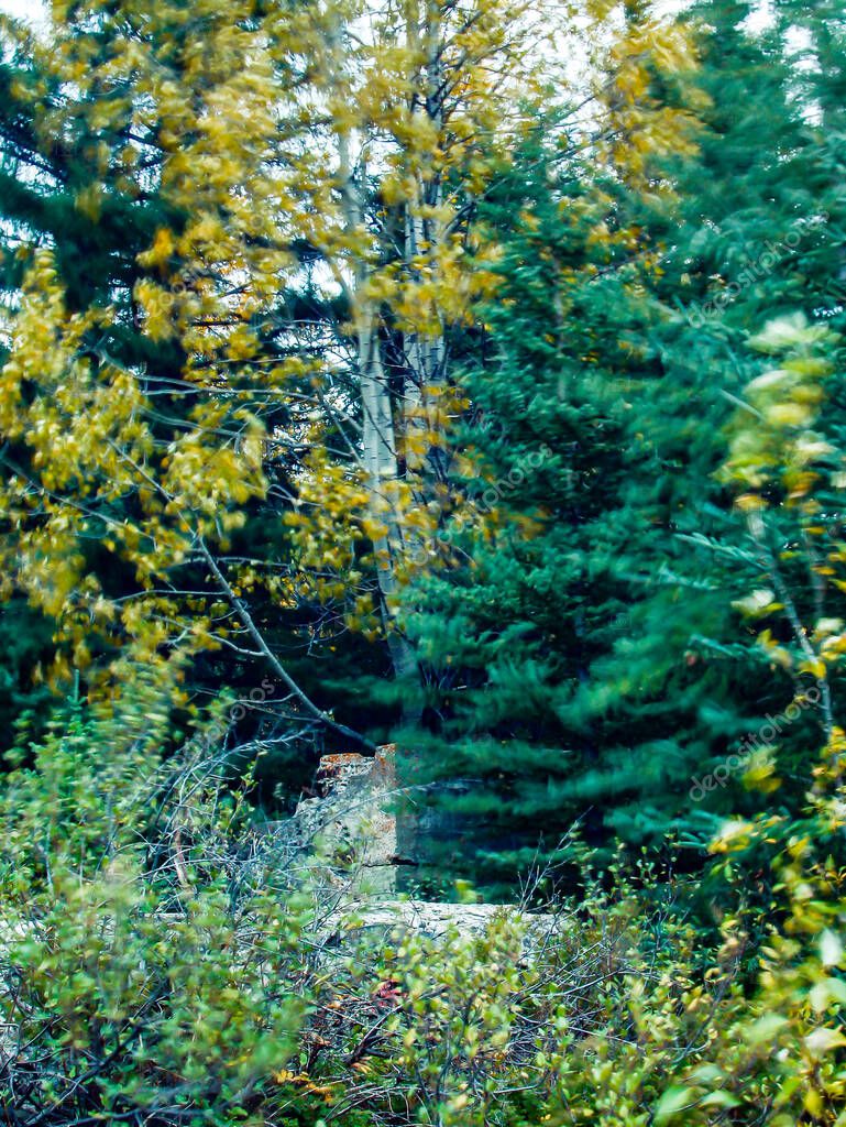 Restos de una antigua ciudad minera de carbón. Lower Bankhead, Banff ...