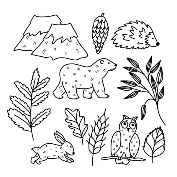 Forest Drawing With Animals For Kids