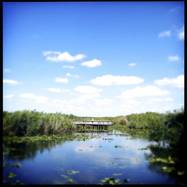 Everglades structures Stock Photos, Royalty Free Everglades structures ...