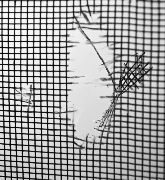 Ripped window screen Stock Photos, Royalty Free Ripped window screen ...