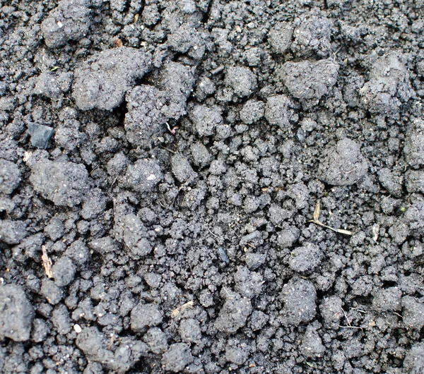 Imágenes de Suelo calizo, fotos de Suelo calizo sin royalties ...