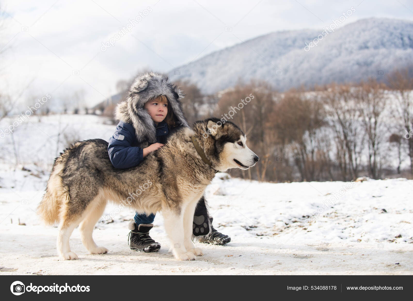 Little boy child with husky dog having fun on winter day outdoors ...