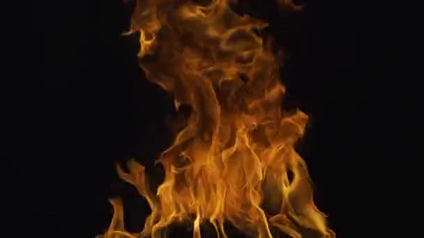 Burning concept. Fire flame texture. Blaze flames overlay background ...