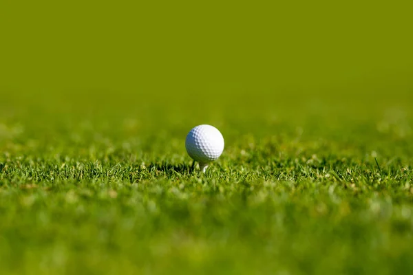 September golf sports Stock Photos, Royalty Free September golf sports ...