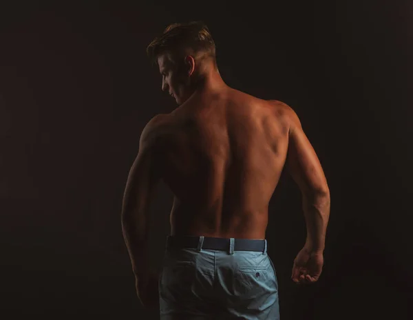 Male Model Back View