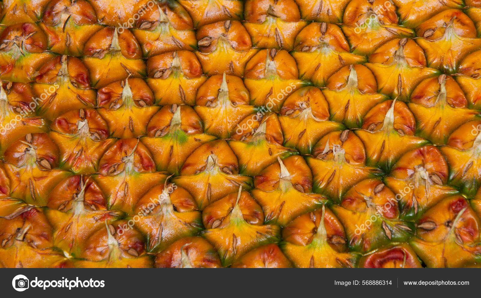 Pineapple Skin Pattern