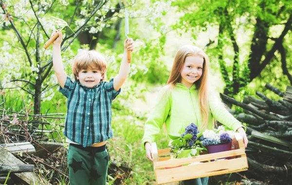 Happy kids in nature Stock Photos, Royalty Free Happy kids in nature ...