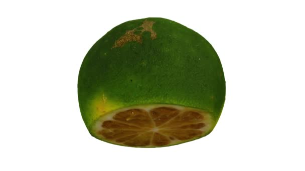 Realistic Render Rolling Cut Dalandan Orange White Background Video ...