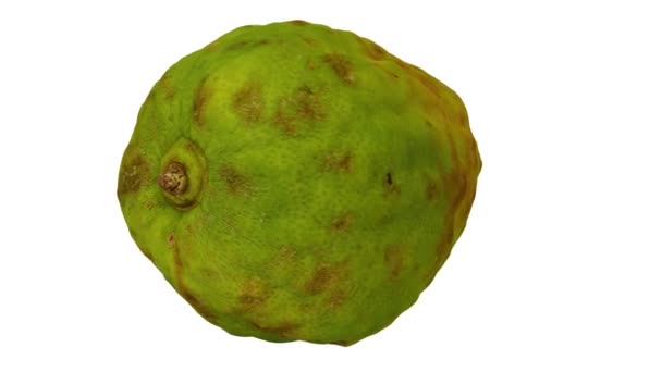 Renderizado Realista Limón Filipino Nativo Giratorio Sobre Fondo Blanco ...