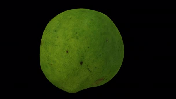 Realistic Render Rotating Cut Philippine Green Mango Katchamitha ...